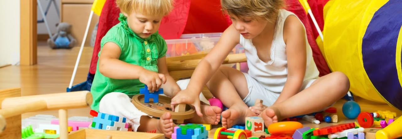 Our Toy Collection - The Lane Cove Toy Library